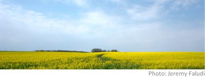 Building Site Location