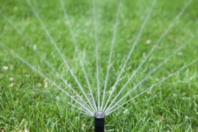 Water-Efficient Irrigation and Landscaping