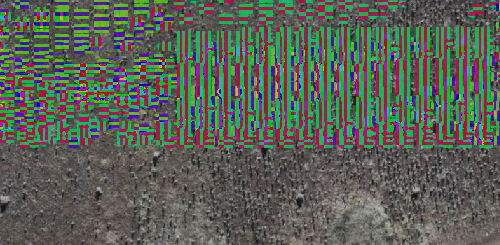 Bad raster with ECW format in AutoCAD and AutoCAD Civil 3D 2014 to 2017