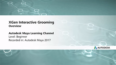 Create hair using XGen interactive grooming