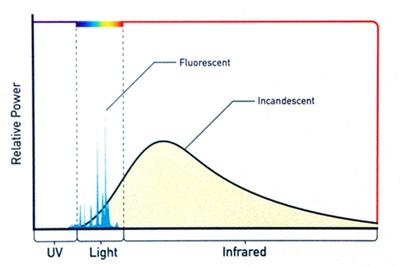 Equipment and Lighting Loads
