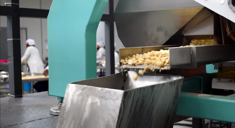 Transforming the Macadamia Nut Industry in Kenya: Making an Impact With ...