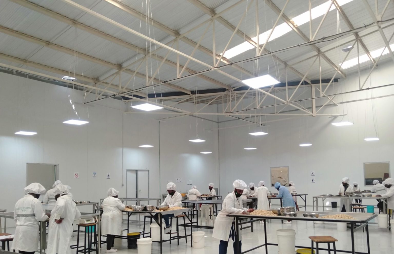 Transforming the Macadamia Nut Industry in Kenya: Making an Impact With ...