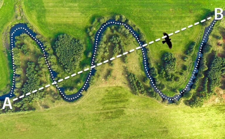 Daniel Brightmore, Author at One Water Blog