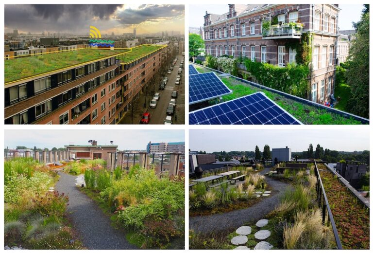 Putting the squeeze in sponge cities: Amsterdam’s Waternet and the ...