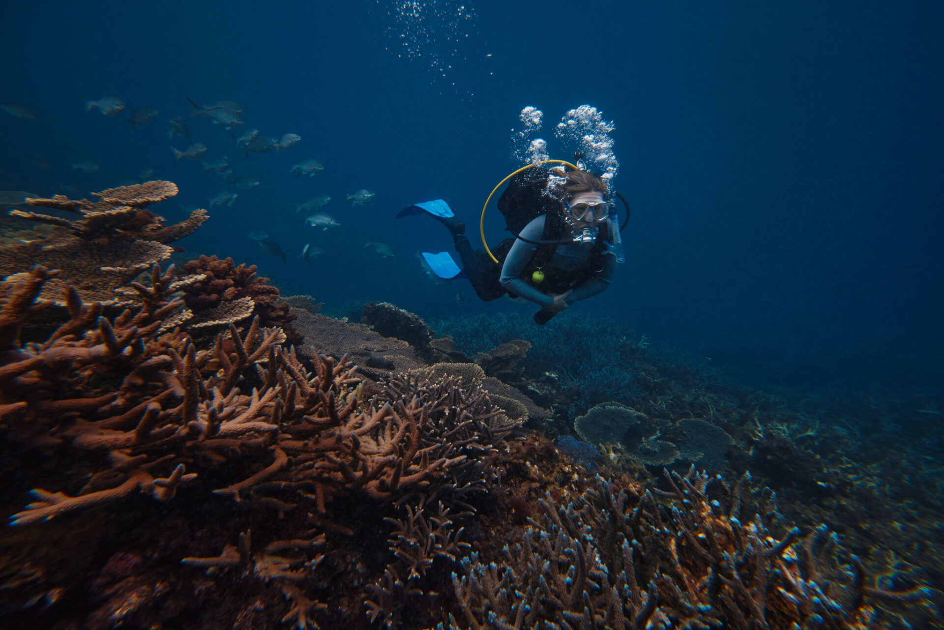 Coral Maker is Racing to Save Coral Reefs with Fusion 360