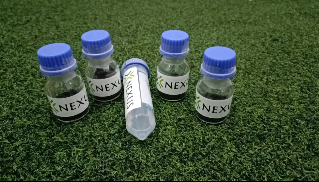 Nexus Power: Innovation in Biodegradable Batteries - Fusion Blog